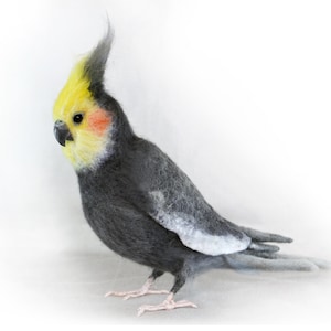 The Felt Bird - Cockatiel. Handmade Felted Bird. the Most Widely Kept ...
