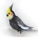 The Felt Bird Cockatiel. Handmade Felted Bird. the Most Widely Kept ...