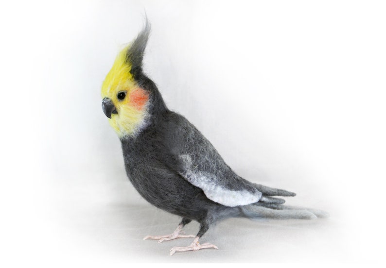 The Felt Bird - Cockatiel. Handmade Felted Bird. the Most Widely Kept ...