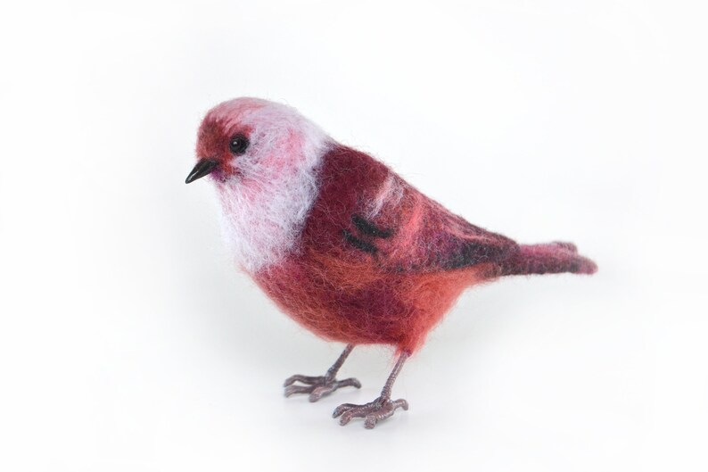 The Felted Bird Pink-headed Warbler Lifelike Felting - Etsy