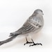 Northern Mockingbird - Felting Realistic Toy - the State Bird of ...