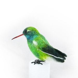 Broad-billed Hummingbird - Realistic Felting Bird. Lifelike Felting ...