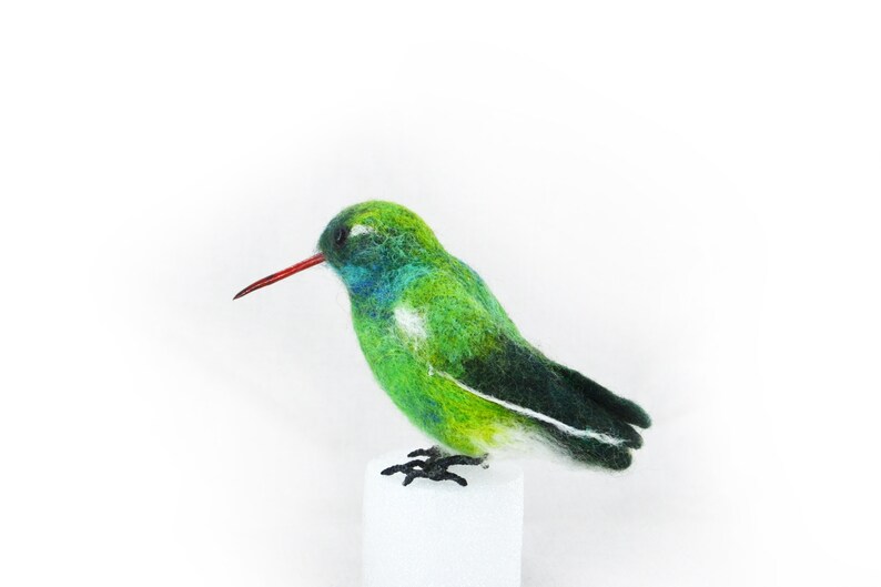 Broad-billed Hummingbird - Realistic Felting Bird. Lifelike Felting ...