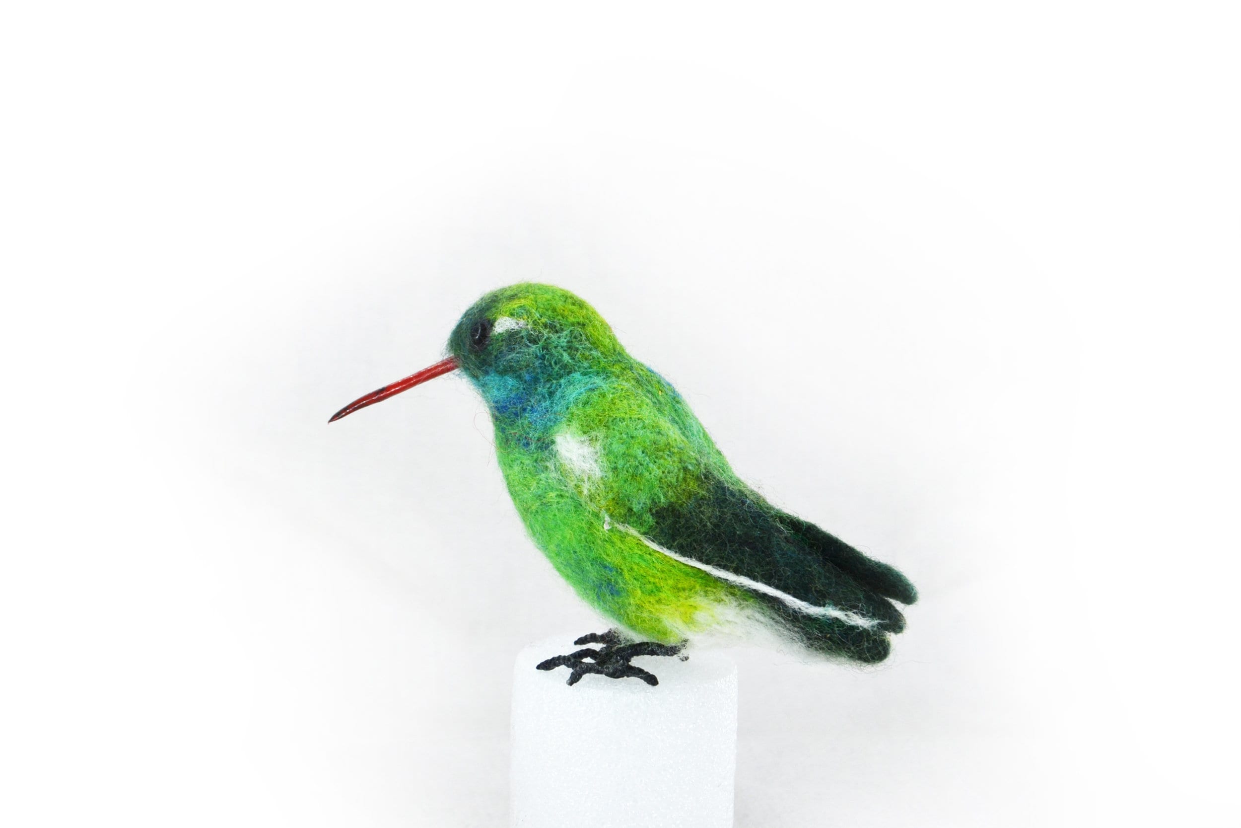 Broad-billed Hummingbird - Realistic Felting Bird. Lifelike Felting ...