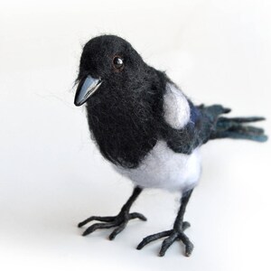 Eurasian Magpie - 1/2 Scale Felted Naturalistic Doll - Etsy