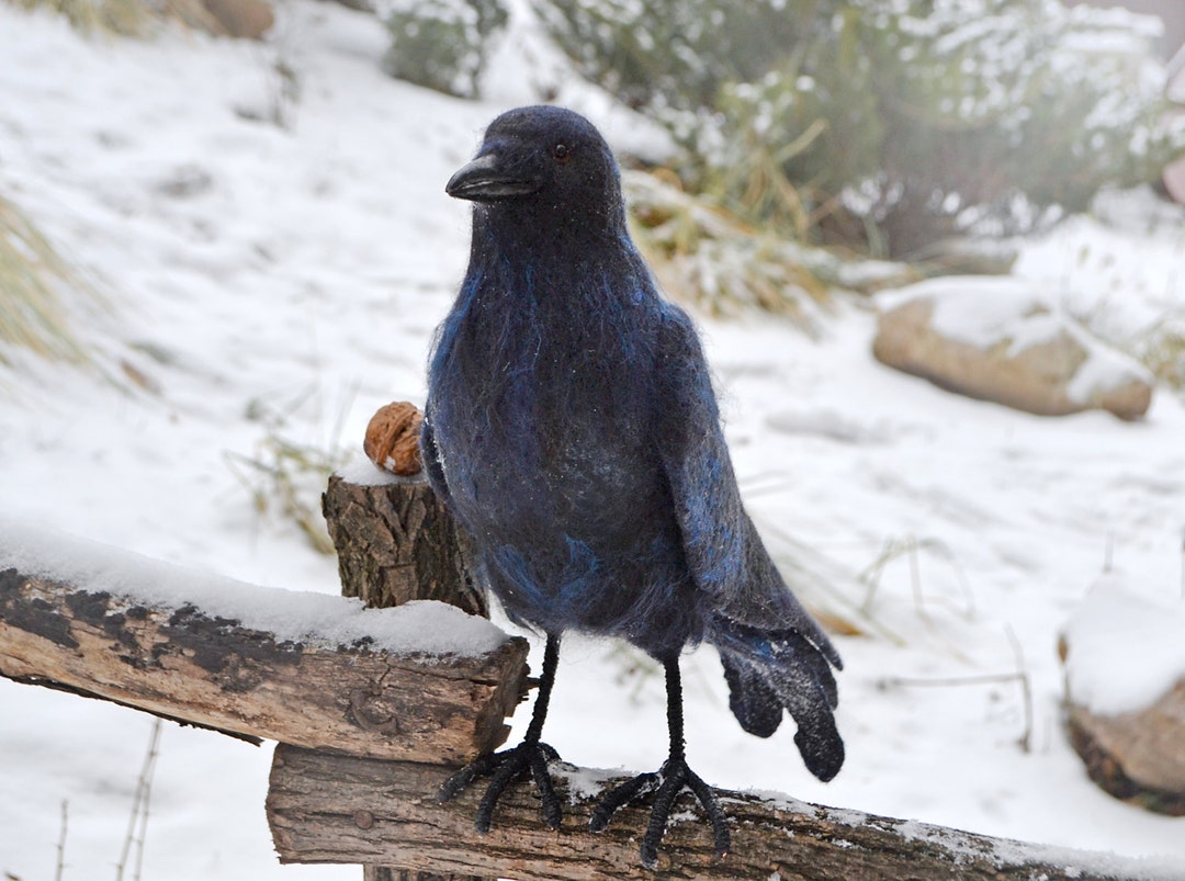 Felted American Crow Naturalistic Doll- the Real Sized Felt Gothic Doll ...