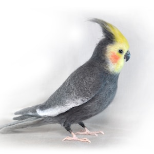 The Felt Bird - Cockatiel. Handmade Felted Bird. the Most Widely Kept ...