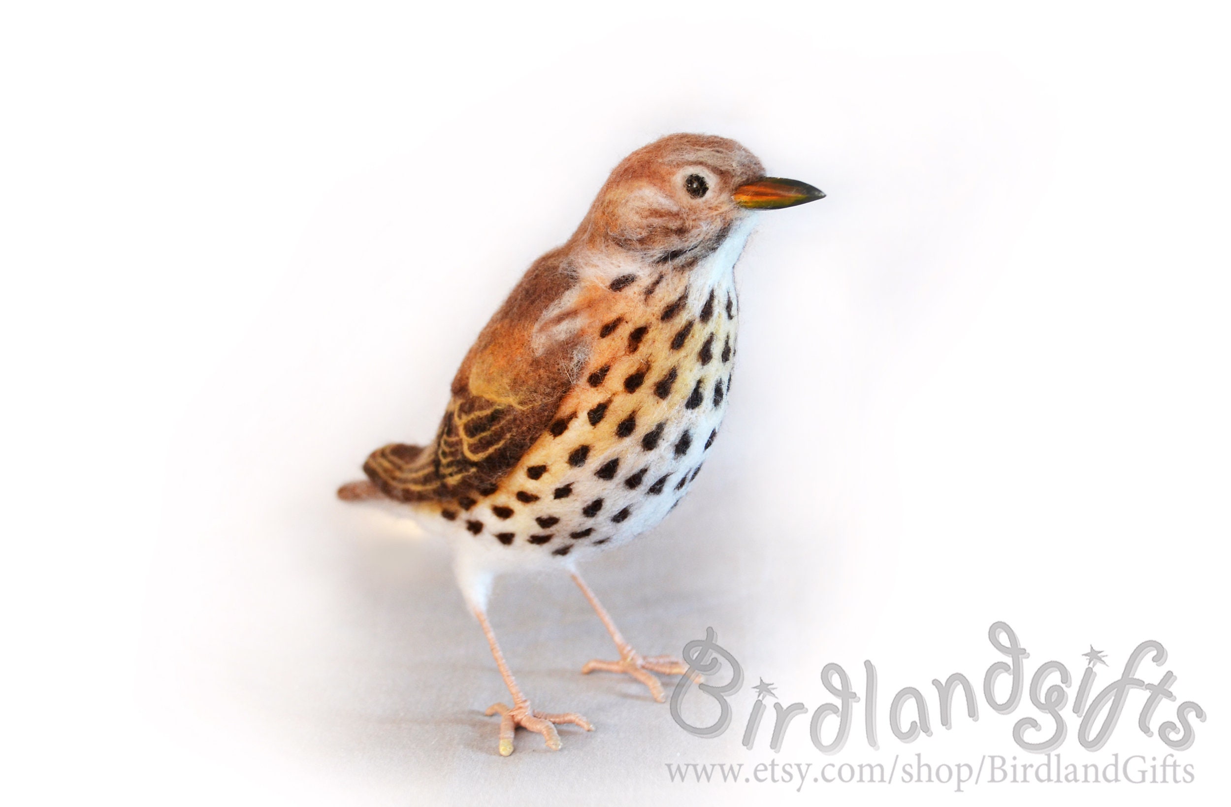 The Song Thrush Realistic Felting Bird. Lifelike Felting - Etsy