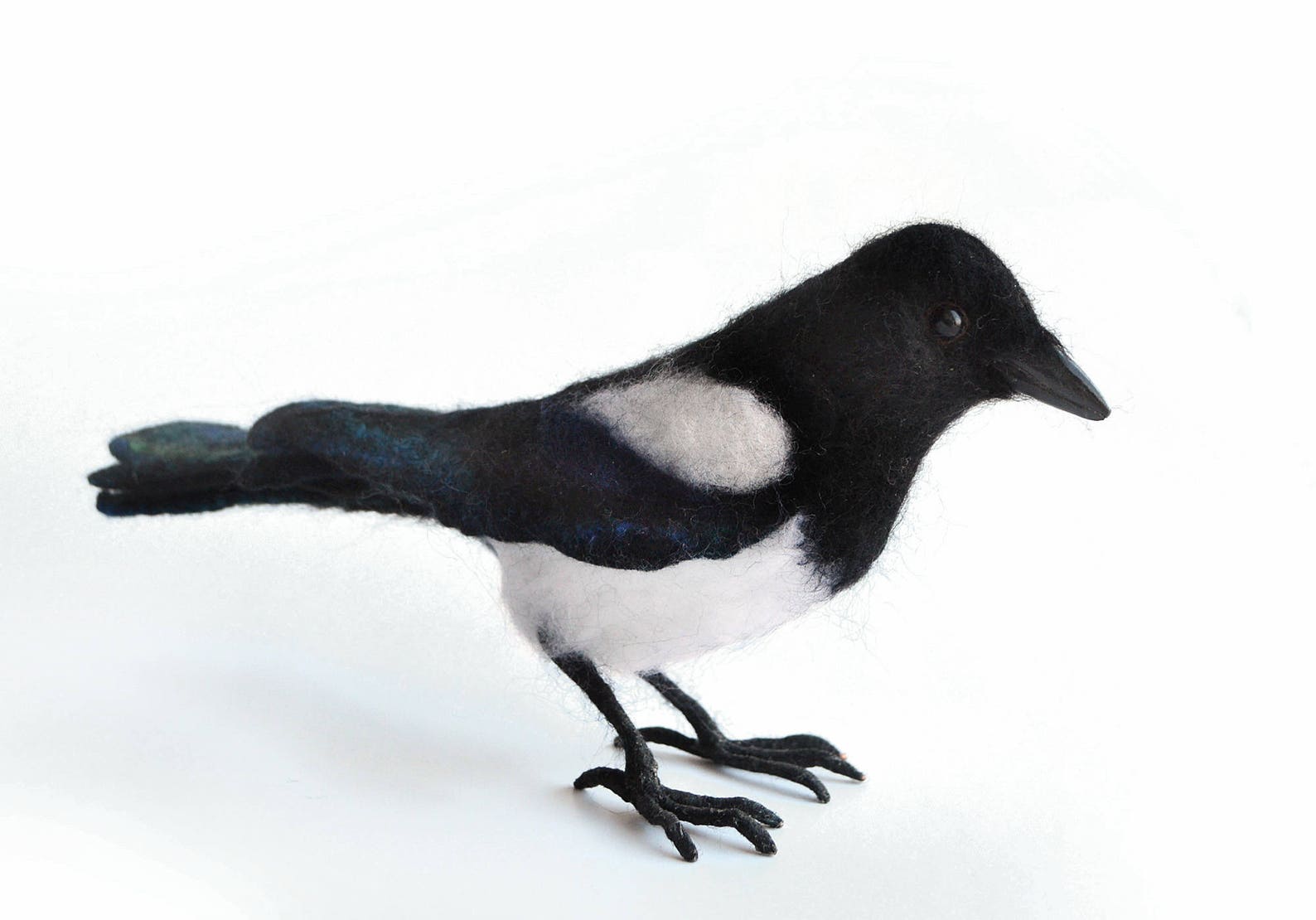 Eurasian Magpie - 1/2 Scale Felted Naturalistic Doll - Etsy