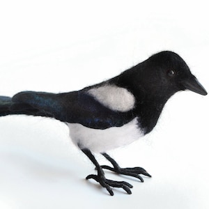 Eurasian Magpie - 1/2 Scale Felted Naturalistic Doll - Etsy