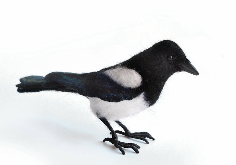 Eurasian Magpie - 1/2 Scale Felted Naturalistic Doll - Etsy