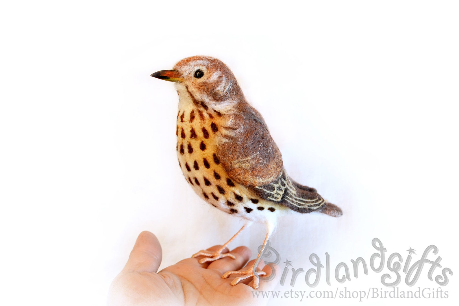 The Song Thrush Realistic Felting Bird. Lifelike Felting Animal ...