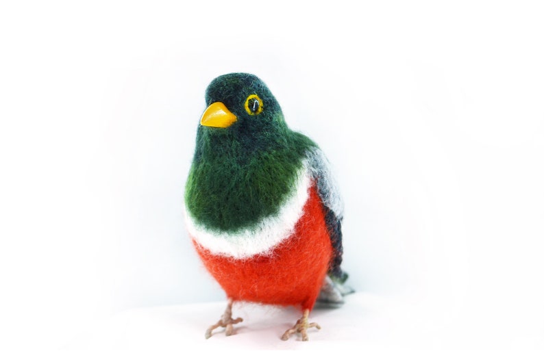 Elegant Trogon Realistic Felting Bird. Lifelike Felting - Etsy