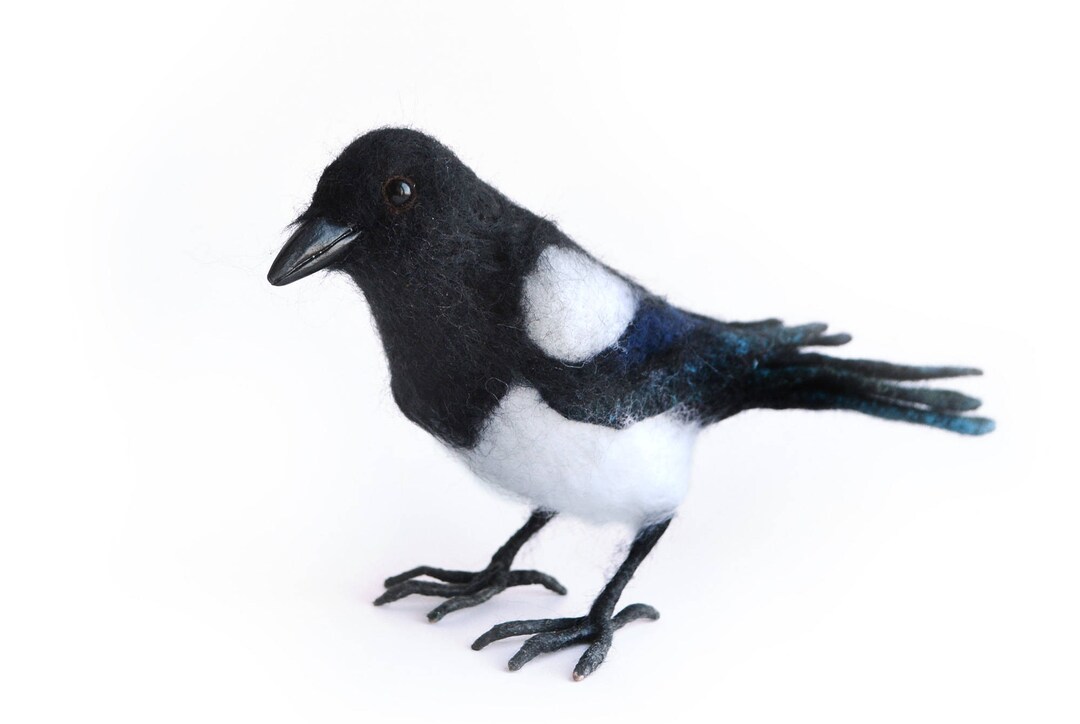 Eurasian Magpie - 1/2 Scale Felted Naturalistic Doll - Etsy