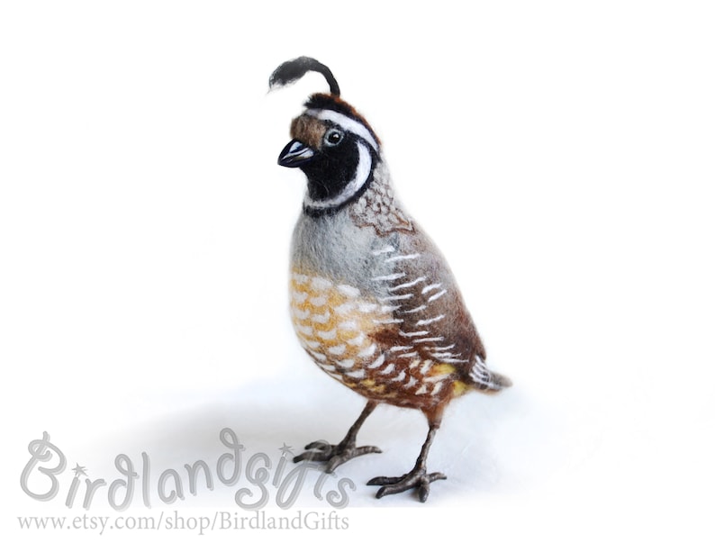California Quail - Handmade Felted Bird-official State Bird of ...