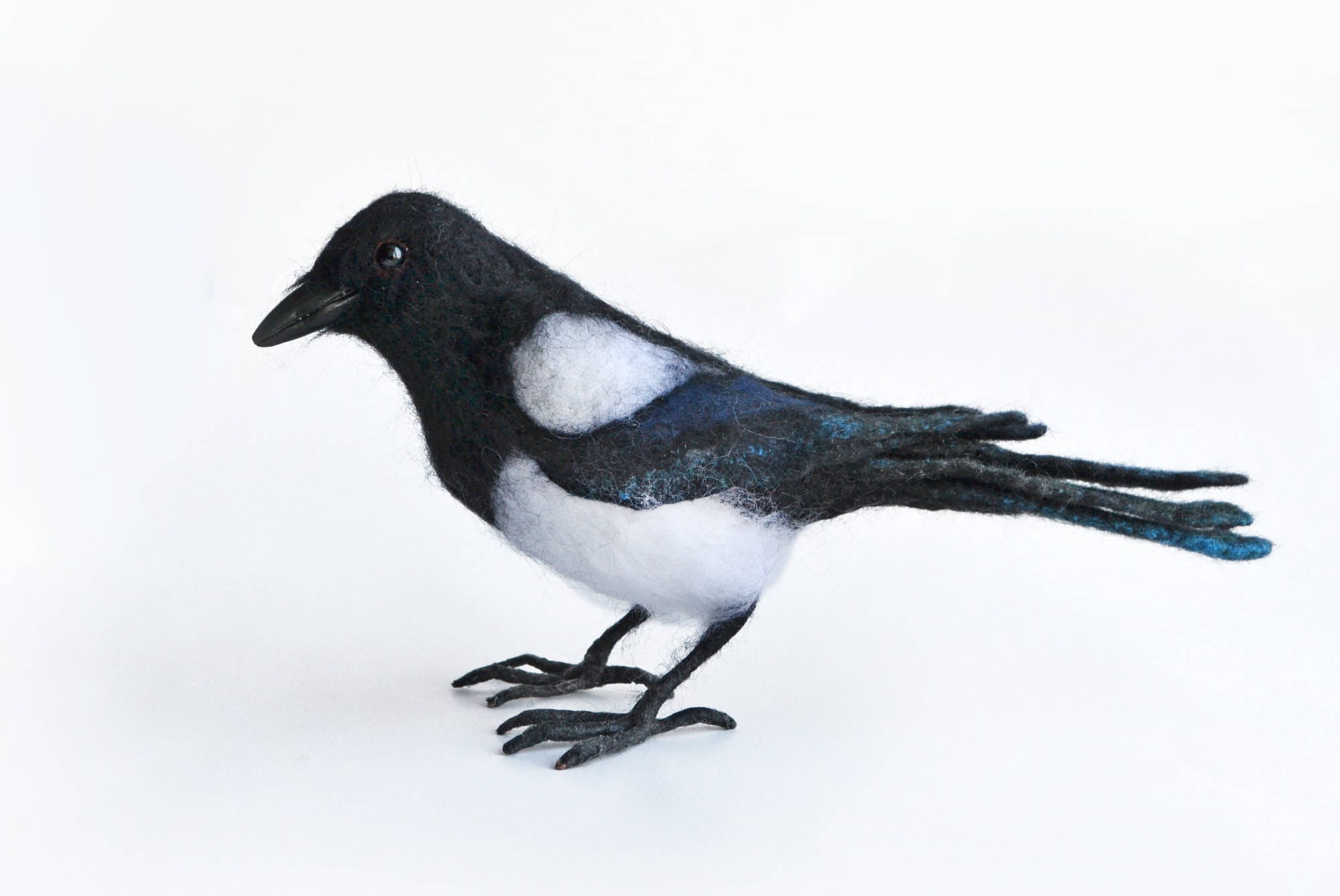 Eurasian Magpie - 1/2 Scale Felted Naturalistic Doll - Etsy