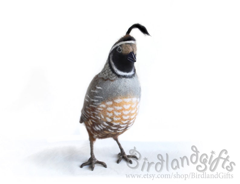 California Quail - Handmade Felted Bird-official State Bird of ...