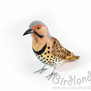 Northern Flicker - Handmade Felted Bird - Ornithologist Gift, Faux ...