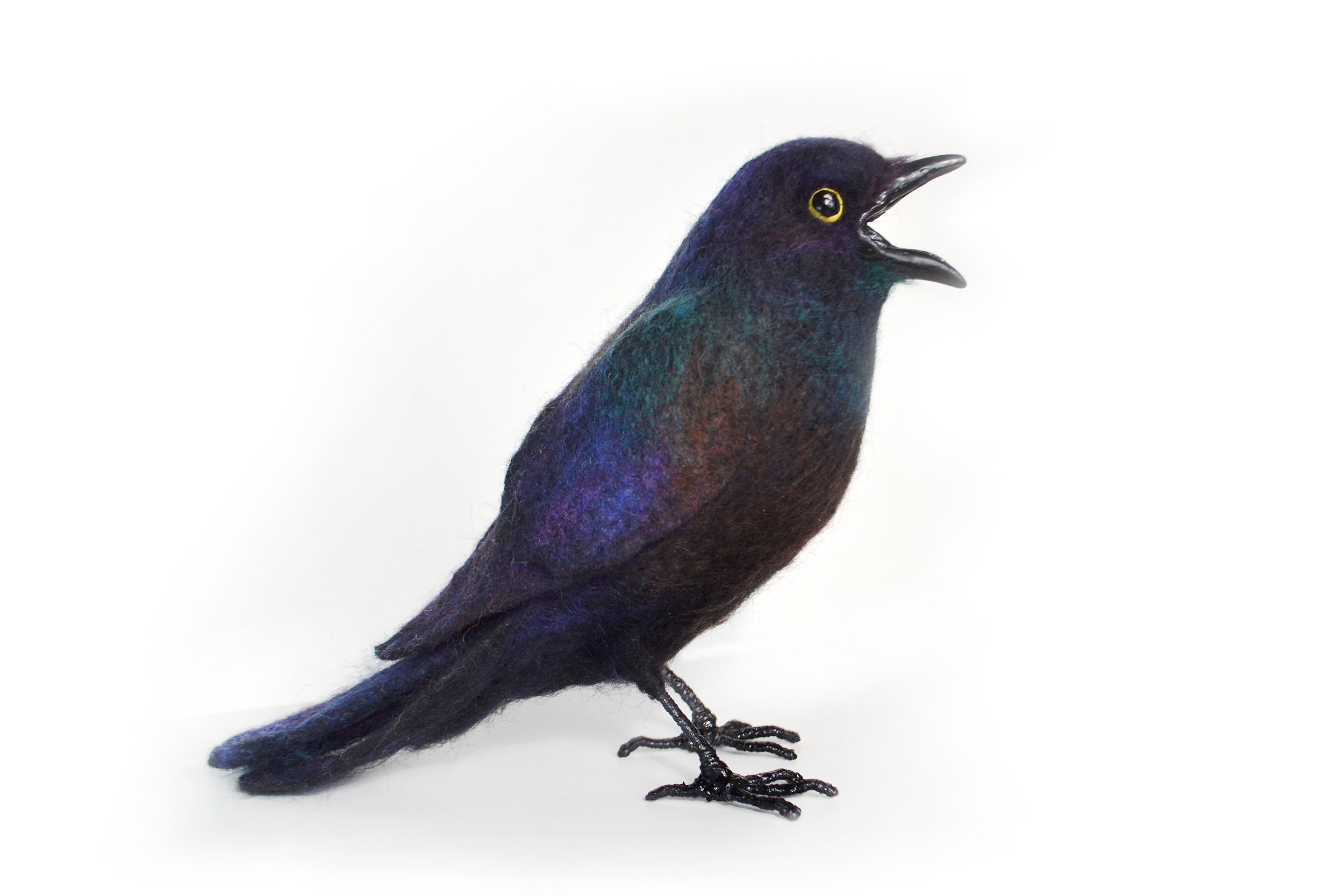 Baby Common Grackle