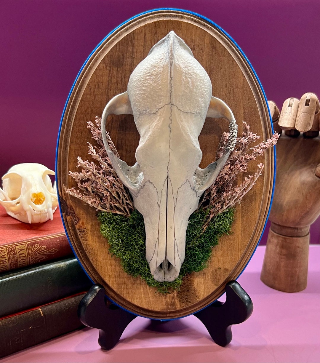 Blueberry Stained Coyote Plaque With Preserved Flowers - Etsy