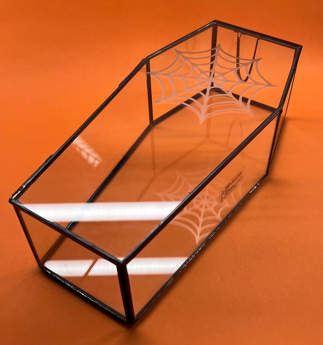 12” Glass Coffin With Etched Spiderweb on Lifting Lid - Etsy