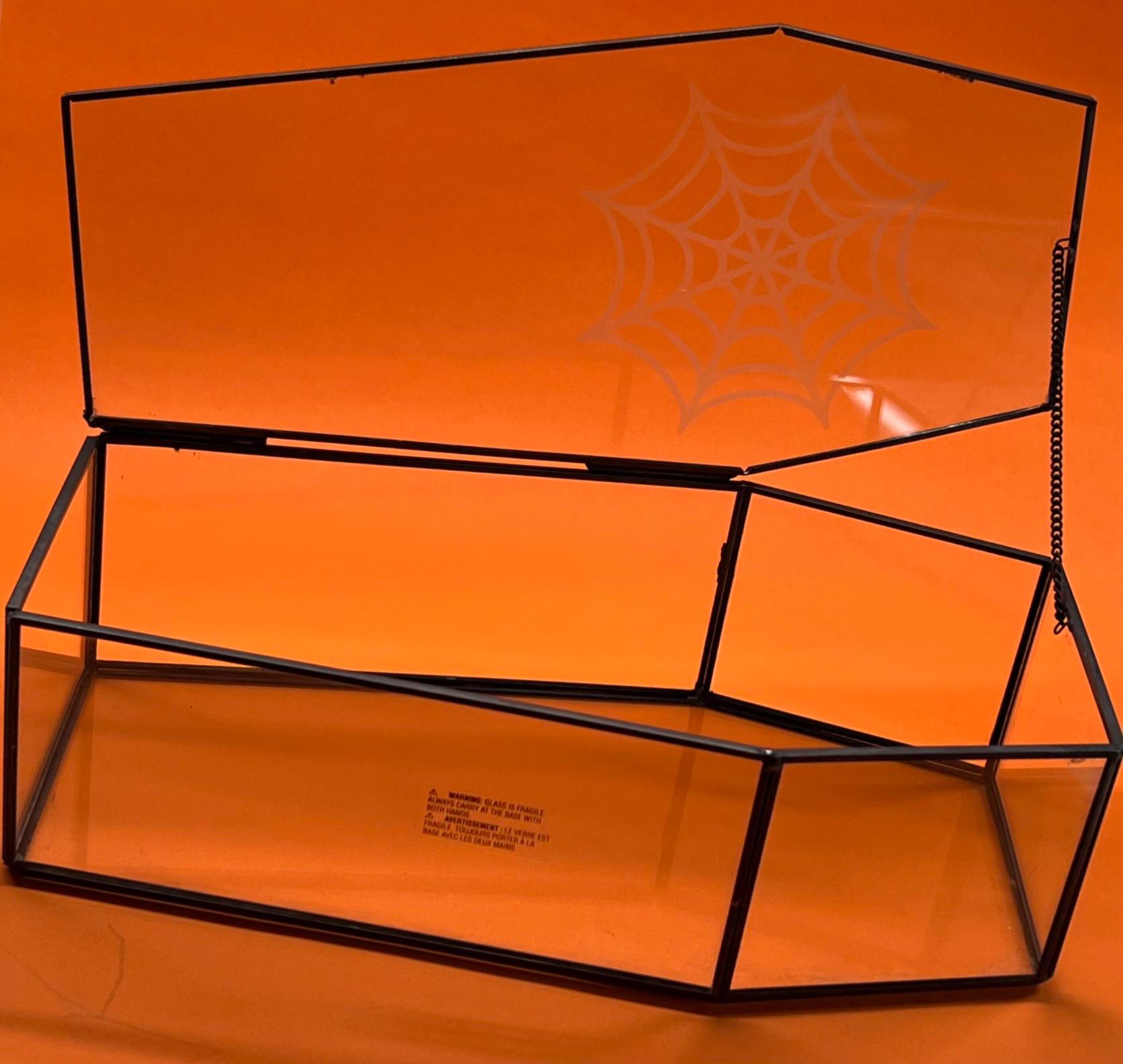 12” Glass Coffin With Etched Spiderweb on Lifting Lid - Etsy