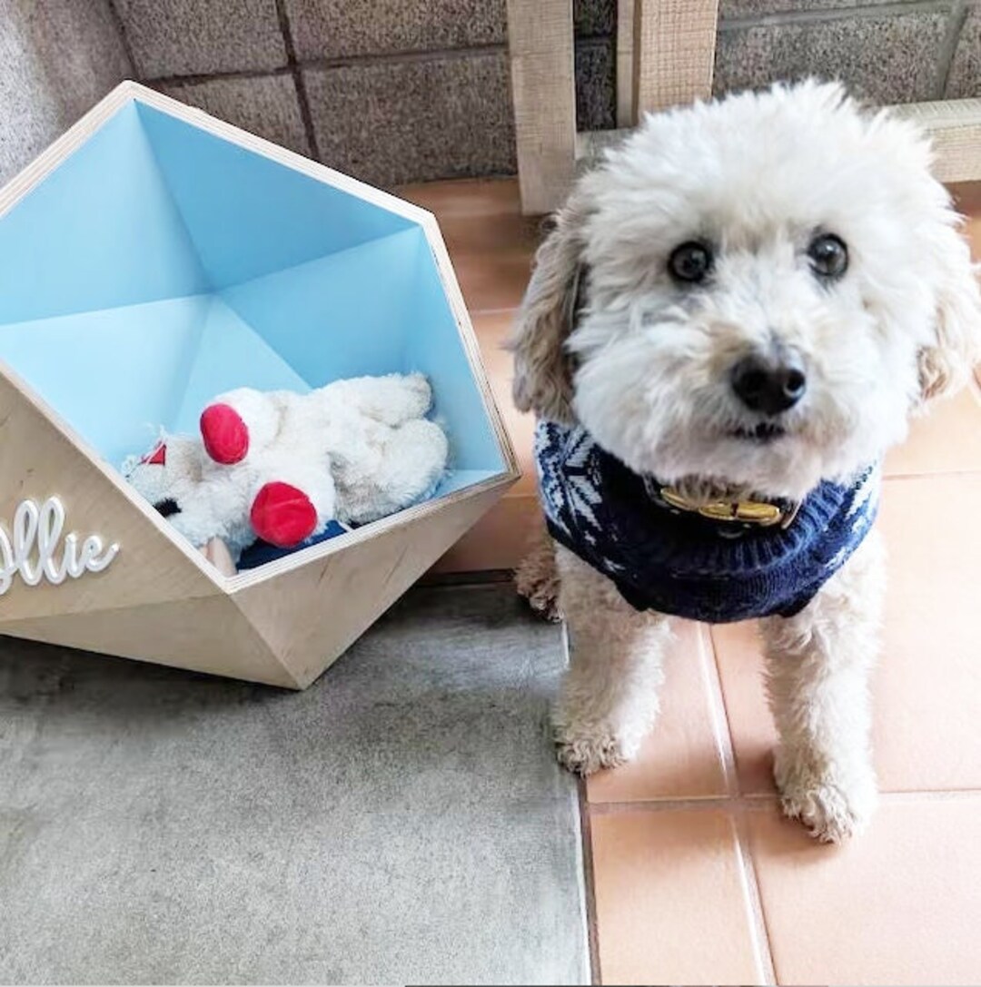 Pet Storage Box Small Dog Toy Bin With Name Personalized Dog Storage ...