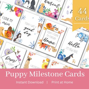 Puppy Milestone Cards Printable First Milestone Dog Milestone Card ...