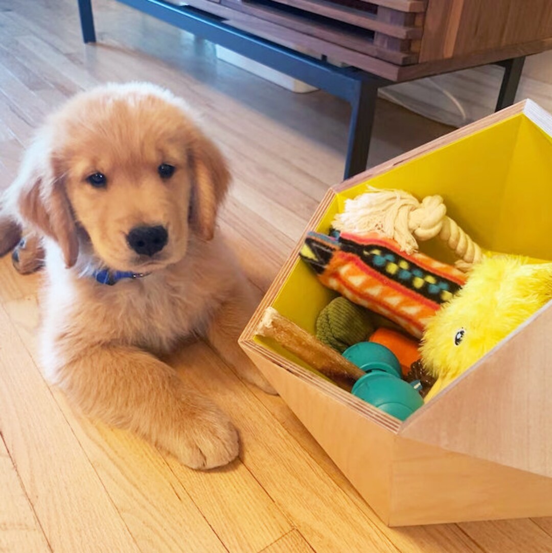 Puppy Toy Box Large Puppy Toy Chest Dog Toy Box Puppy Custom Pet Toy ...