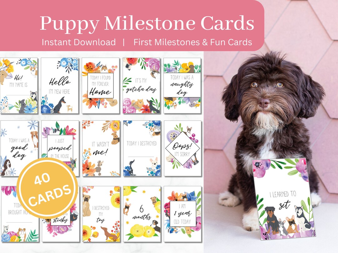 Puppy Milestone Cards Printable First Milestone Dog Milestone - Etsy