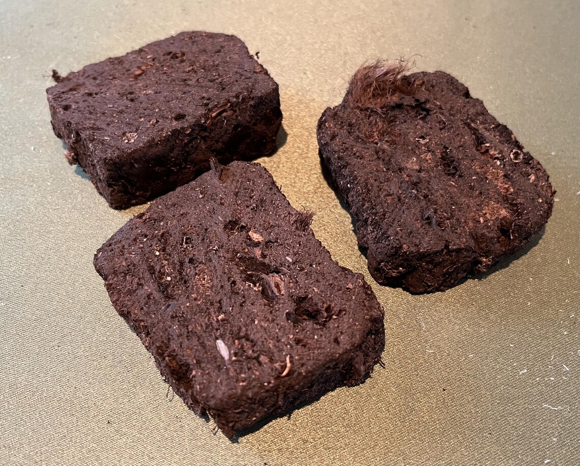 Genuine Ancient Scottish Peat Scots Souvenir 3000 Year Old Scotland ...