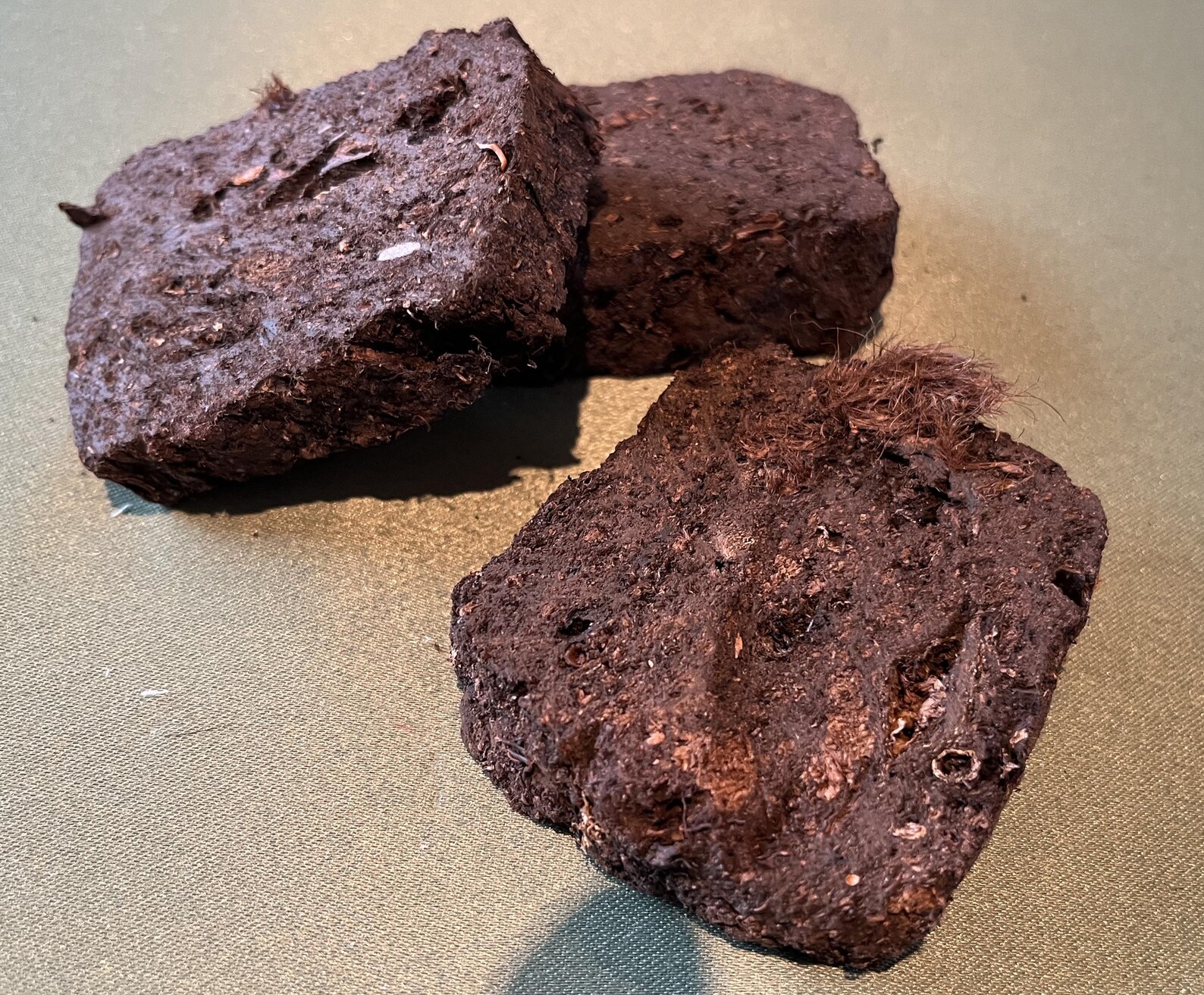 Genuine Ancient Scottish Peat Scots Souvenir 3000 Year Old Scotland ...