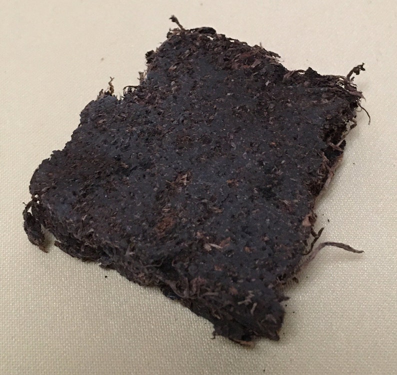 Genuine Ancient Scottish Peat Scots Souvenir 3000 Year Old | Etsy