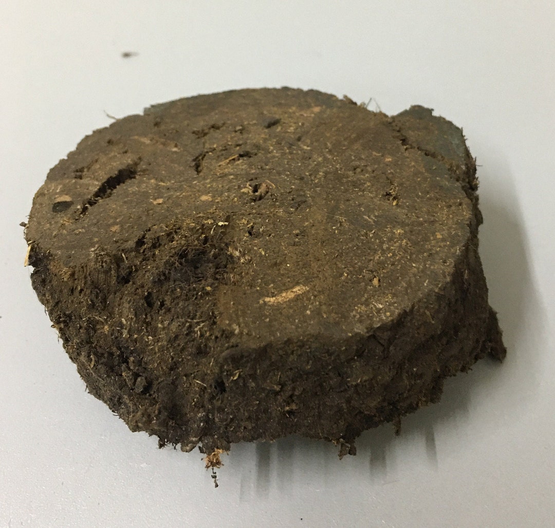 Genuine Ancient Ireland Irish Turf Peat Celtic Souvenir 2000 Year Old ...