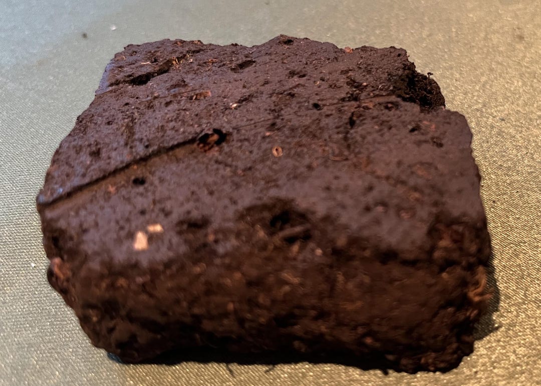 Genuine Ancient Ireland Irish Turf Peat Celtic Souvenir 2000 Year Old ...
