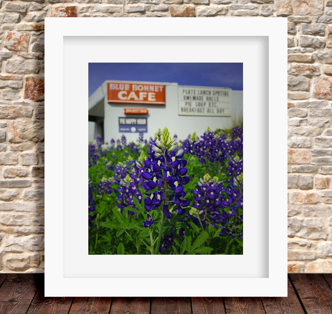 Bluebonnets and Bluebonnet Cafe Marble Falls Texas Wall Art Home Decor ...