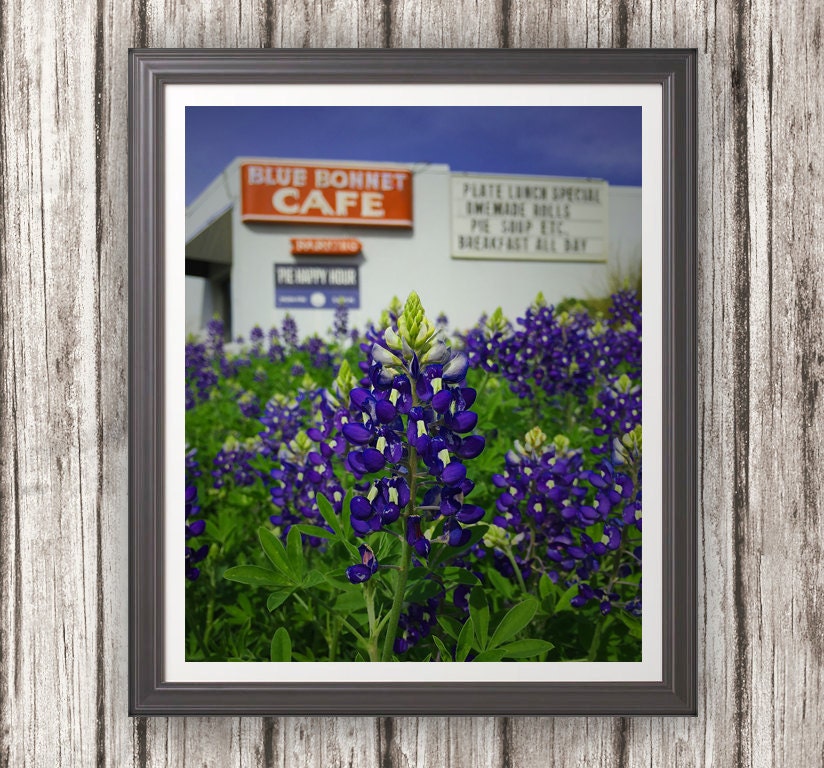 Bluebonnets and Bluebonnet Cafe Marble Falls Texas Wall Art Home Decor ...
