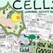 Cells Comic (lesson Plan and Slideshow) - Etsy