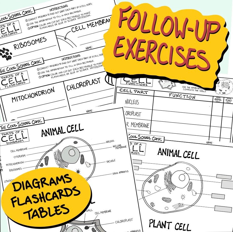Cells Comic (lesson Plan and Slideshow) - Etsy