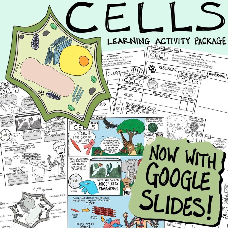 Cells Comic lesson Plan and Slideshow - Etsy