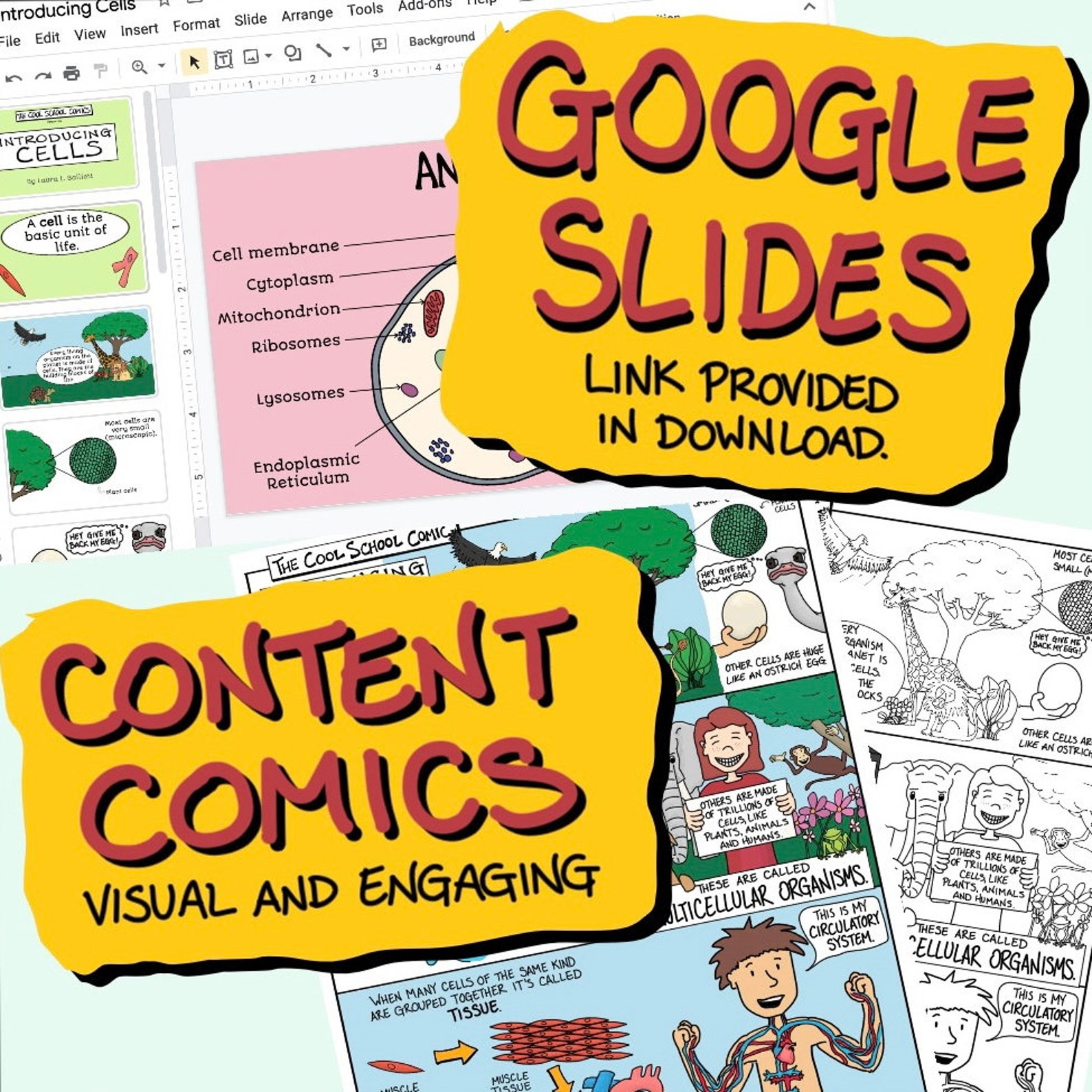 Cells Comic (lesson Plan and Slideshow) - Etsy