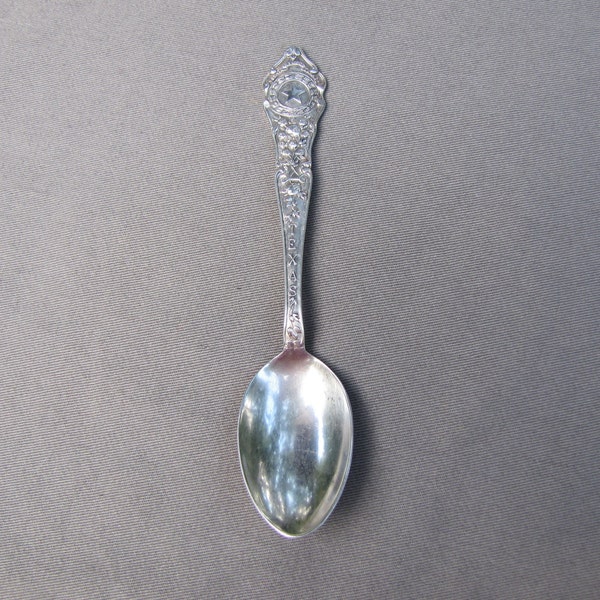 Texas Souvenir Spoon - Etsy