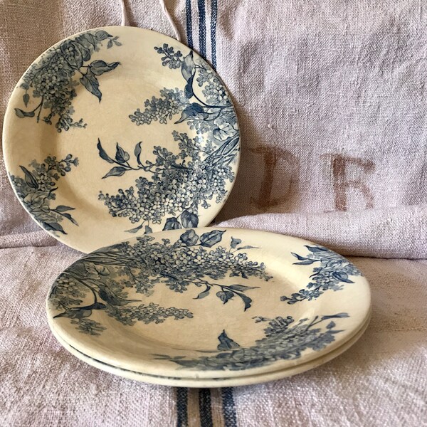 French Transferware - Etsy