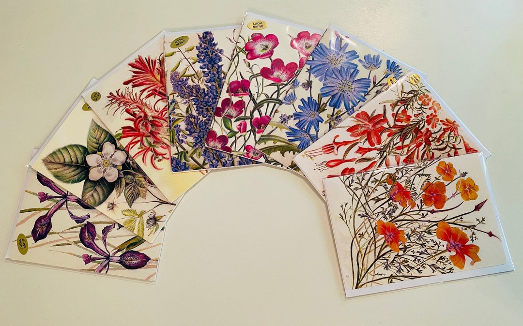 West Coast Native Wildflowers, Notecard Collection, Set of 8 - Etsy