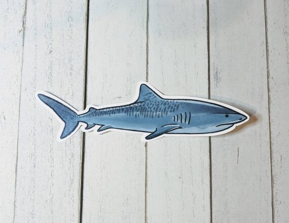 Tiger Shark Vinyl Sticker Shark Sticker | Etsy