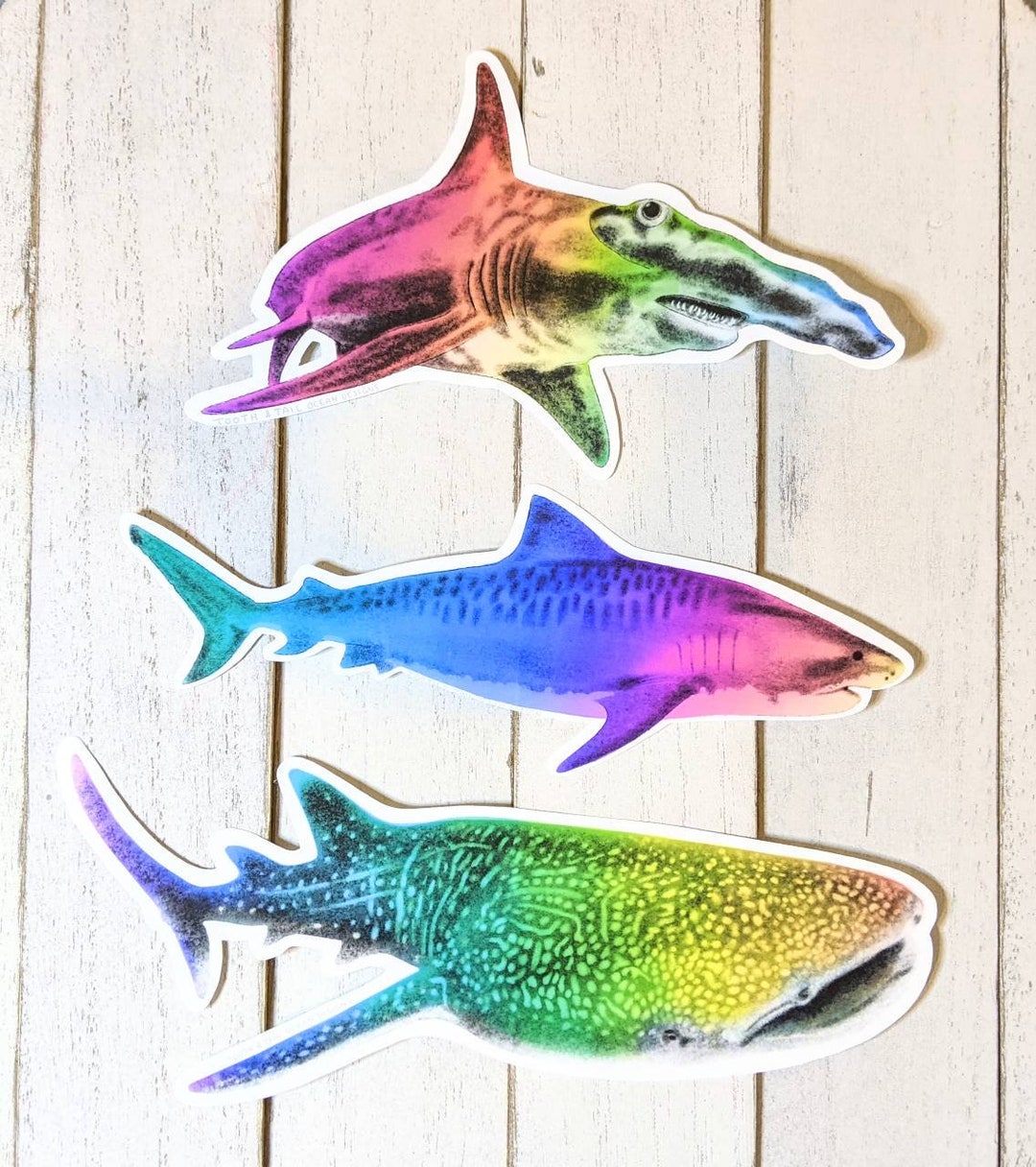 Rainbow Shark Trio Sticker Set - Etsy