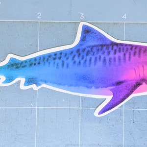 Rainbow Shark Trio Sticker Set - Etsy