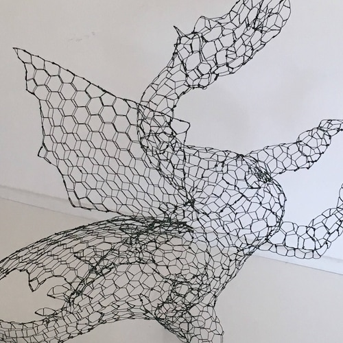 T Rex Topiary Frame - Etsy