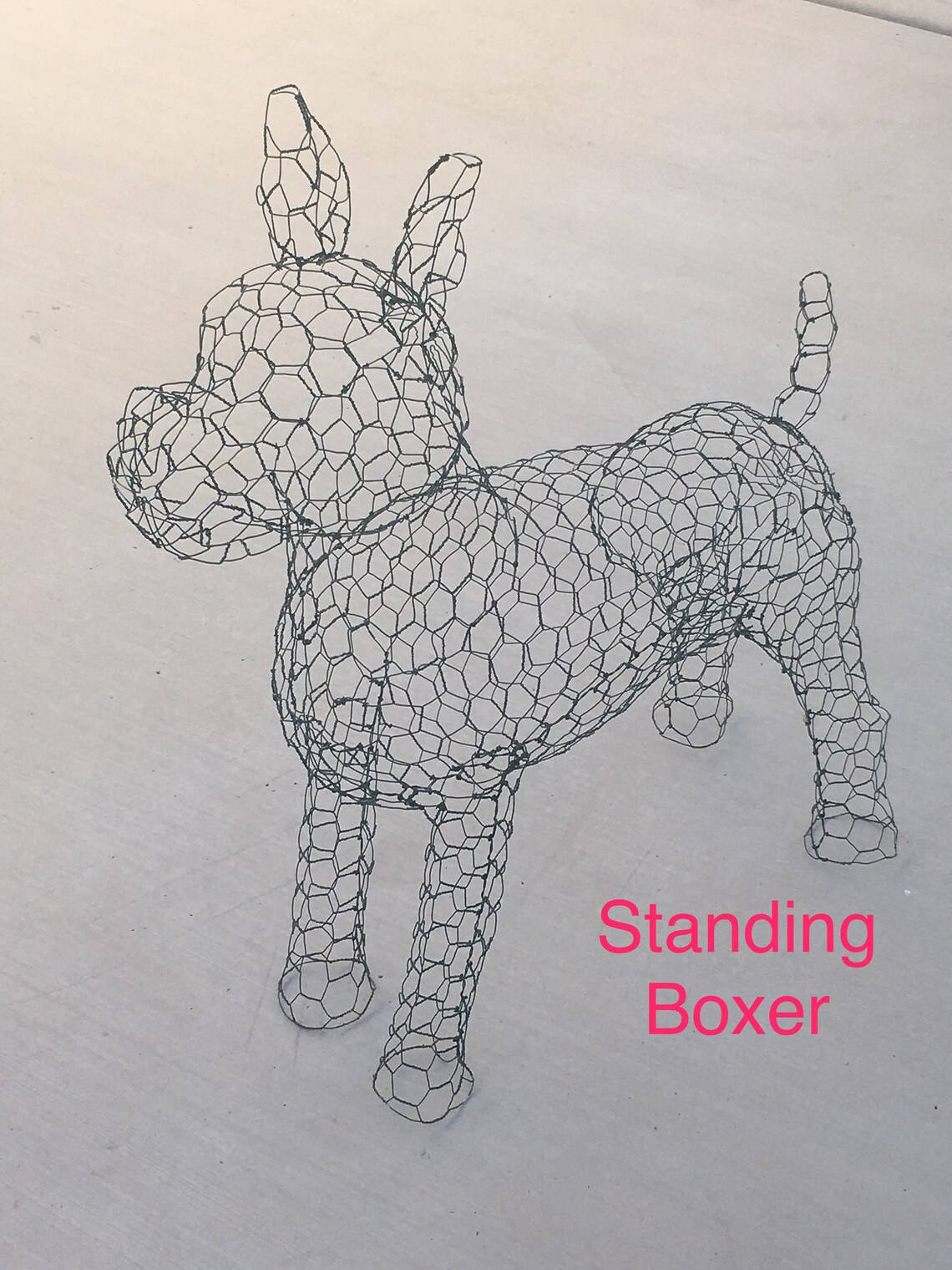 Boxer Topiary Frame - Etsy