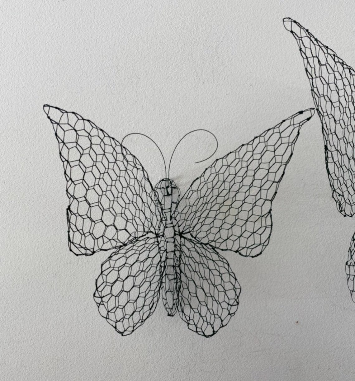 Butterfly Topiary Frames - Etsy